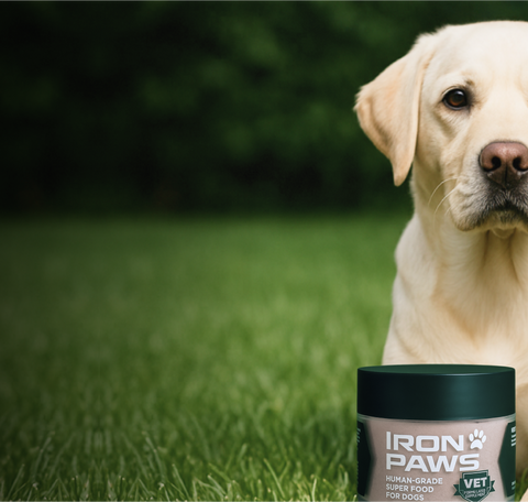 Iron Paws | Human-Grade Superfood Supplement For Dogs