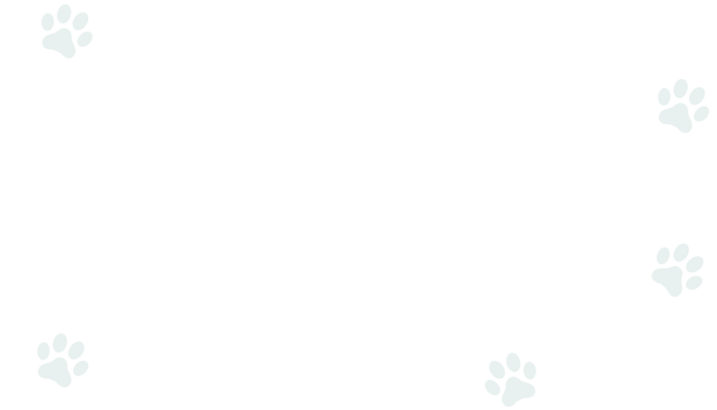 Iron Paws Premium Dog Supplement