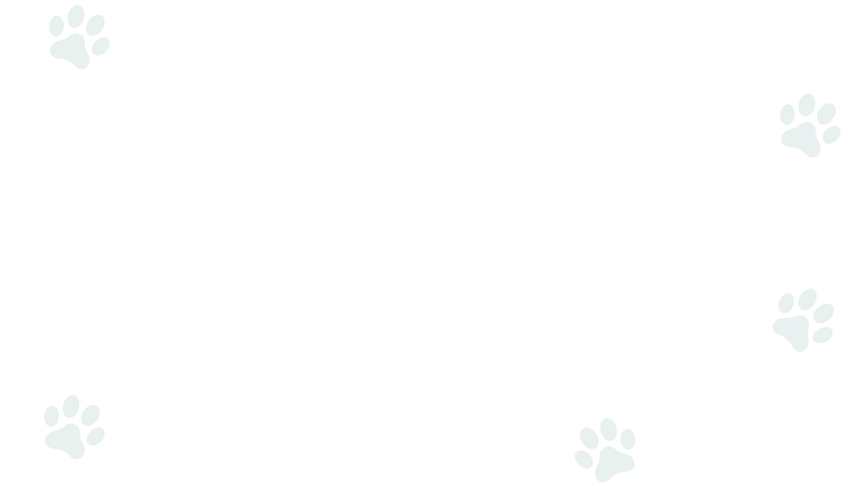 Iron Paws Premium Dog Supplement