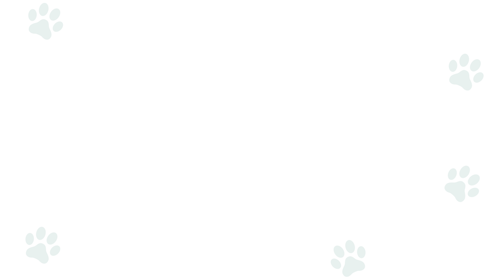 Iron Paws Premium Dog Supplement