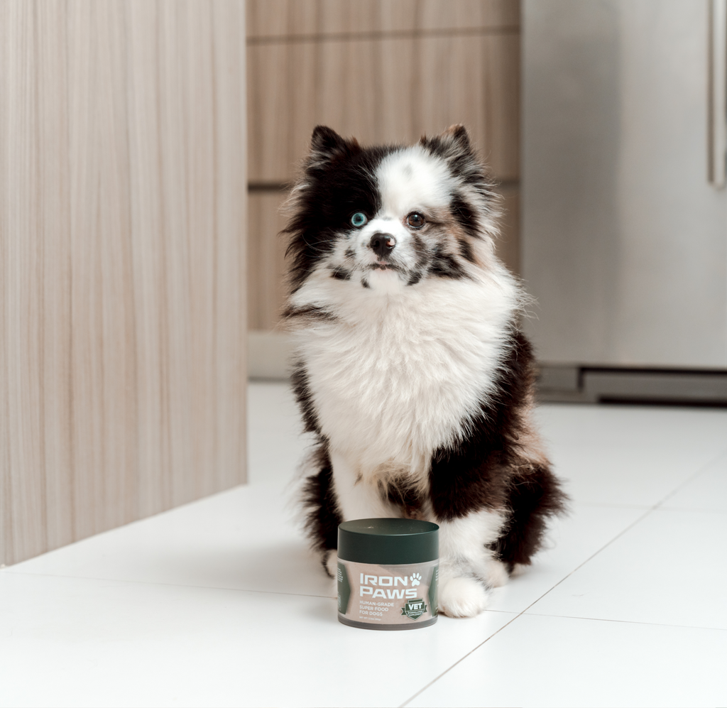 Iron Paws Premium Dog Supplement